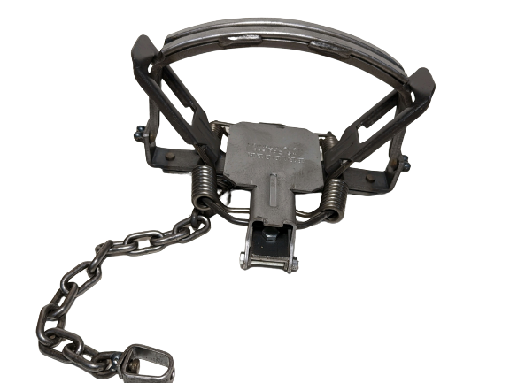 4 Bridger #5 DOGLESS Laminated Offset Jaw Trap Wolf Wolverine Cougar ...