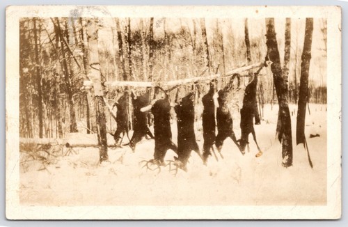 International Falls Minnesota~2 Bucks, Five More Deer Strung Up~Winter ...