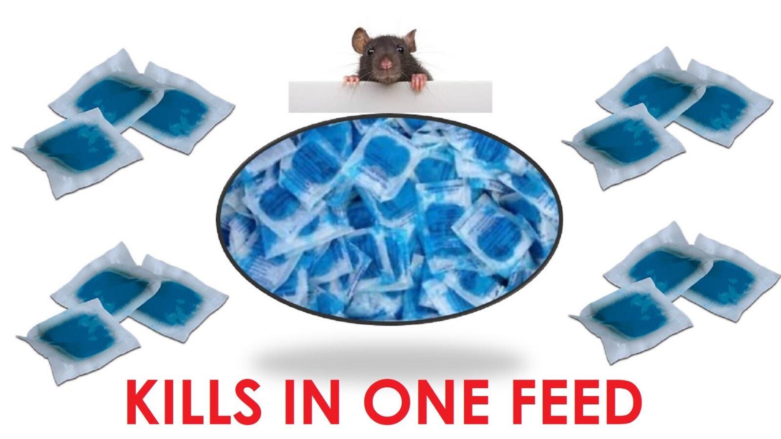 15 x 10g Ultra Strong Strength Mouse Rat Rodent Poison Blocks Bait Killer Pasta! | eBay UK