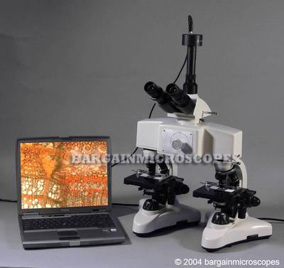 40x – 1000x HIGH POWER FORENSIC COMPARISON TRACE EVIDENCE CSI ...