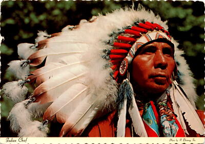 s: postcard, Indian Chief, Native American culture, strength, pr ...
