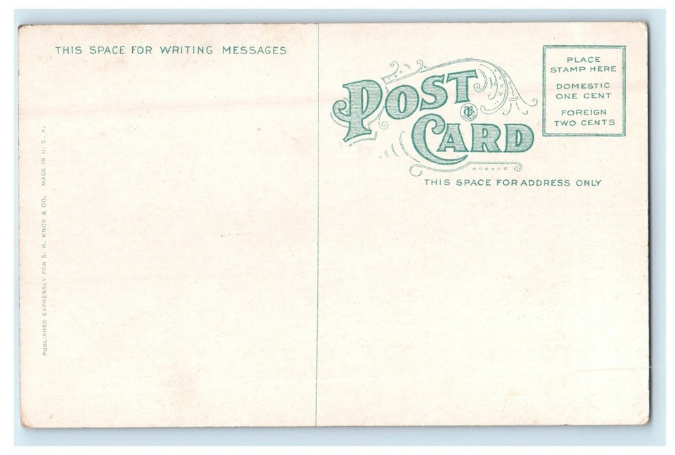 c1910's Brokaw Hospital Bloomington Illinois IL Unposted Antique ...