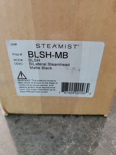 Steamist BLSH-MB Slim Rectangular Steam Head | eBay