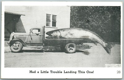 EXAGGERATED FISHING 1950 VINTAGE POSTCARD TRUCK w/ GIANT FISH | eBay