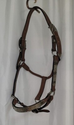 Showmanship Halter - silver embellishments | eBay Australia