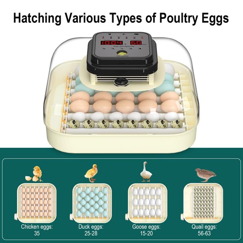 35 Egg Incubator with Automatic Egg Turning and Humidity Control ...