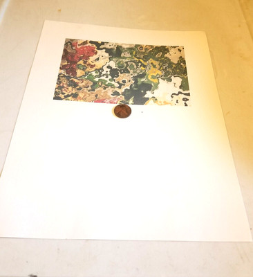 WM1 art print Palocsay Lester Leland-LLP 159 FACE TIGHT | eBay