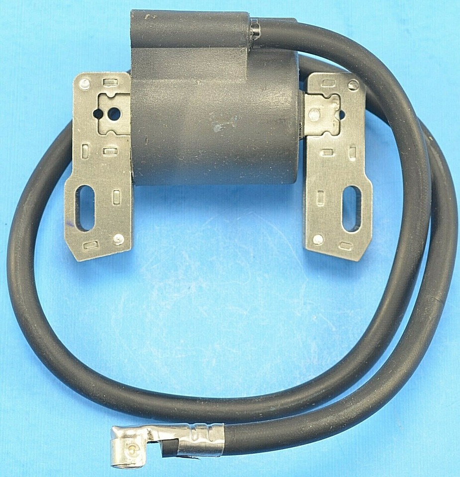 Ignition Coil fits Briggs and Straton 190402-190406 190407 190412 ...