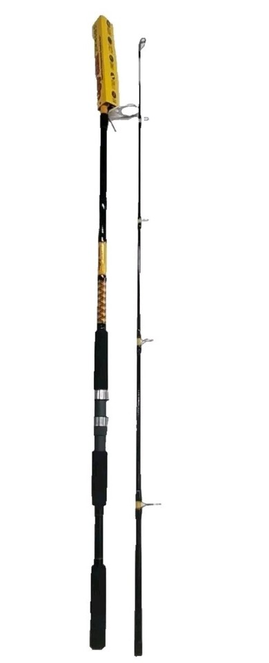 Ugly Stik Bigwater 10' 🔥Spin Rod Medium Heavy 2-Piece Surf Beach, SHARK ...