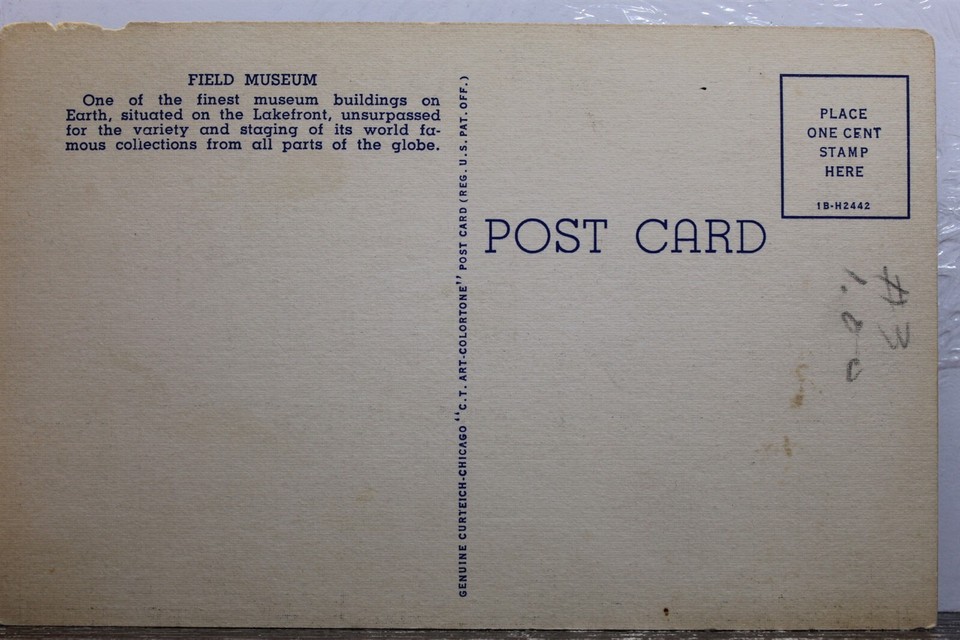 Illinois IL Chicago Natural History Field Museum Postcard Old Vintage ...