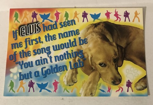 Elvis Presley Postcard Elvis Golden Lab Instead Of Hound Dog | eBay