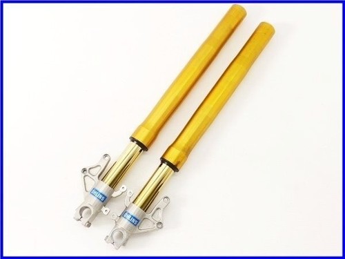 DUCATI 2001 748R Genuine Ohlins inverted front forks 916 996 998 | eBay