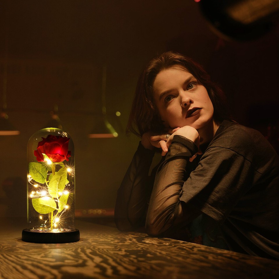 2Pack Enchanted Red Rose Eternal Silk Flower With LED Fairy Lights in ...