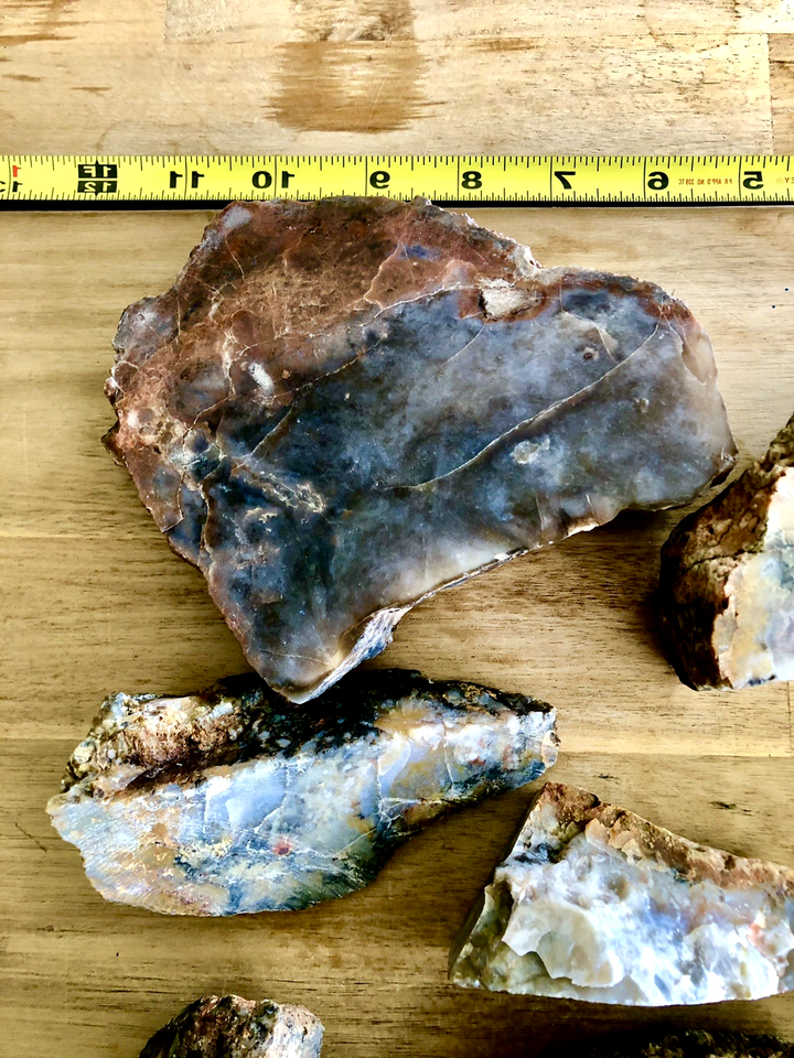 Lot of Colorful Coprolite Dinosaur Poop and Petrified Wood 9.5-10lbs | eBay