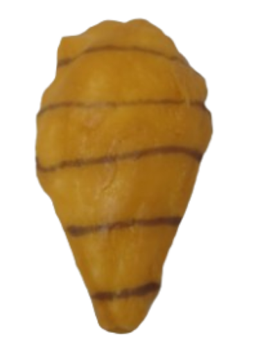 Display Faux Food Prop Grilled Chicken Breast New | eBay