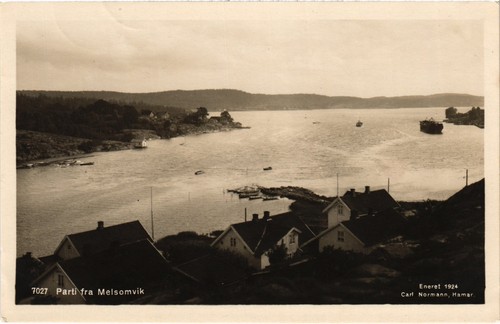 PC NORWAY PARTI FRA MELSOMVIK REAL PHOTO (a46753) | eBay