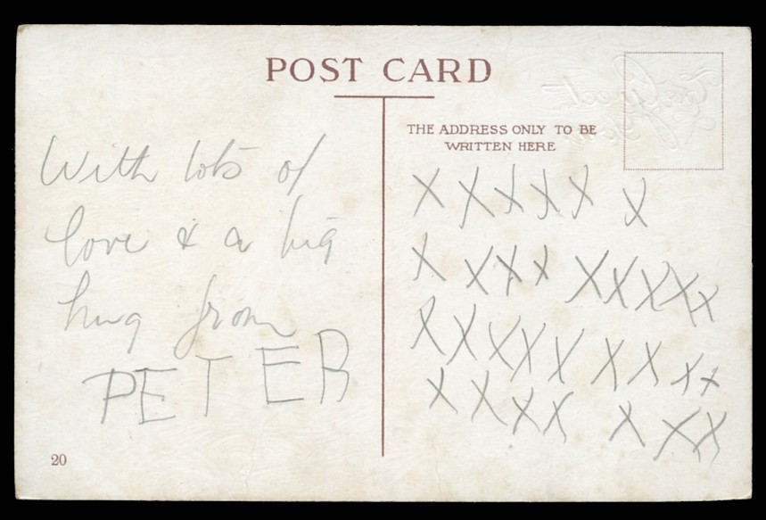 SEALYHAM TERRIER Dog Antique Picture Potcard Textured Surface | eBay