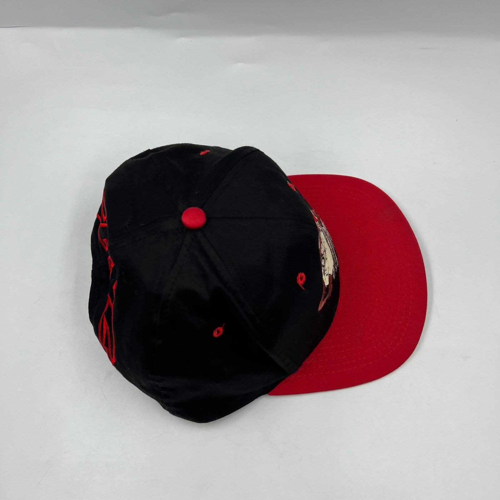 Vintage 1993 Looney Tunes Tazmania Taz Devil Embroidered Baseball Cap ...