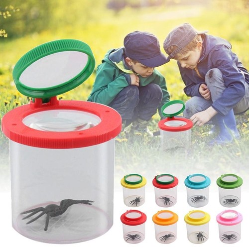 Explorer Magnifying Glass Insect Observer Insect Box Insect Observation ...