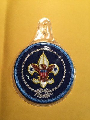 (rt8) Boy Scout - World Scouting patch in plastic holder | eBay