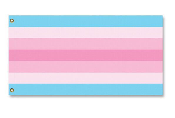 Transfeminine Pride Flag, Transgender LGBTQ LGBTQIA LGBTQX Trans Rights ...
