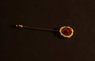 Scotland Heather Gem Brooch Pin by Stag Horn, gem is 5/8" X 1/4" | eBay