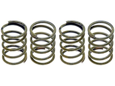 For Pontiac Chieftain Drum Brake Shoe Hold Down Spring AC Delco ...