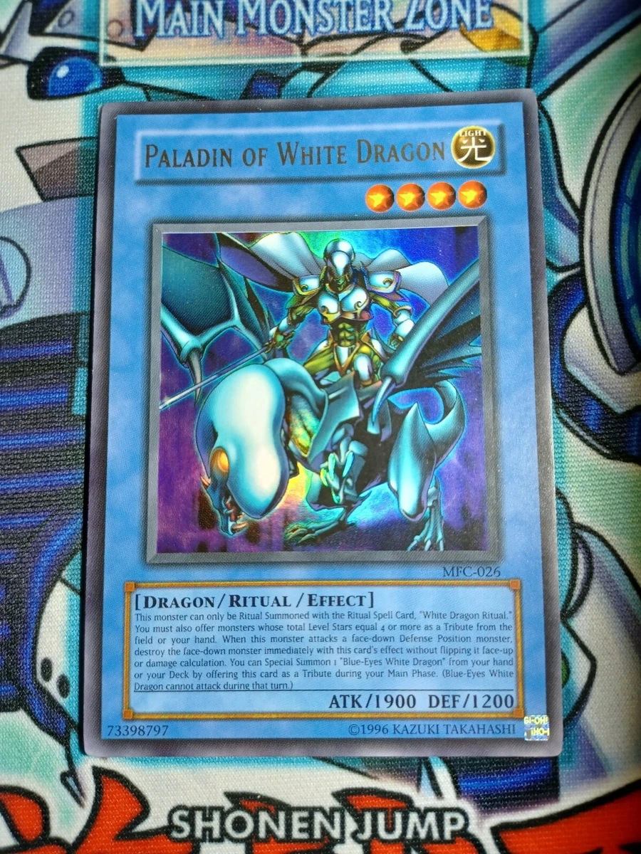 Paladin Of White Dragon