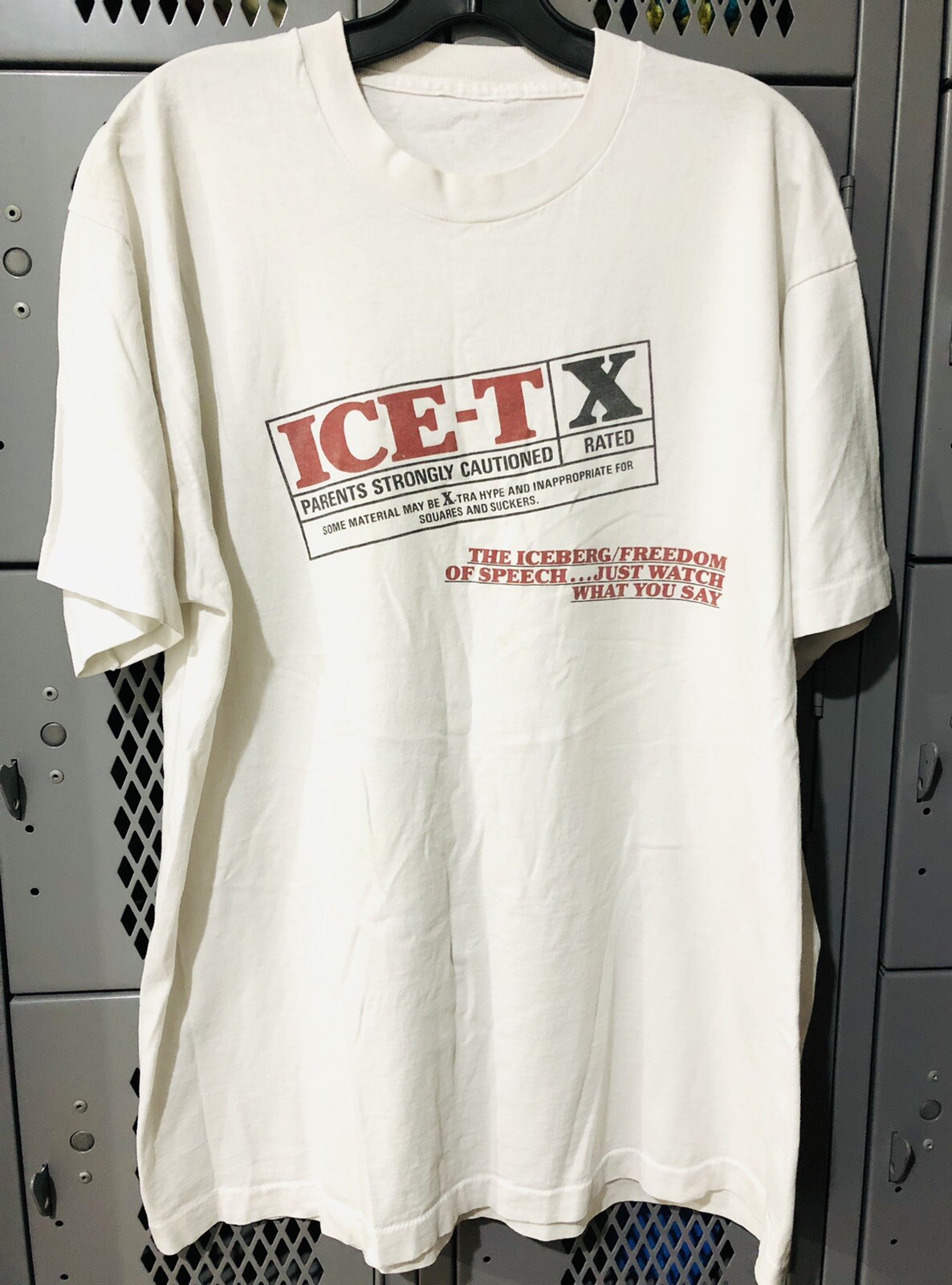 Ice-T 1989 The Iceberg Freedom Of Speech Rap Album Vi… - Gem