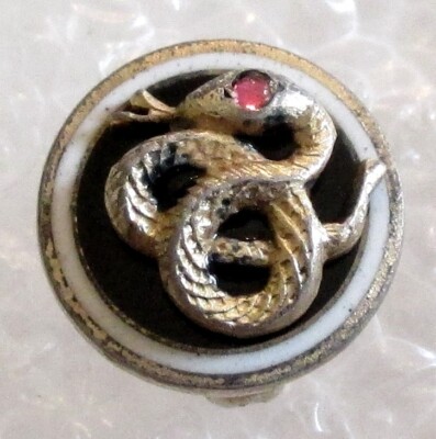 Vintage Sigma Nu Fraternity ΣΝ Pledge Pin | eBay