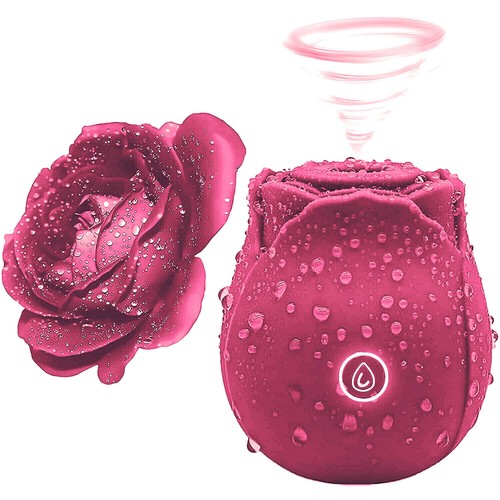 Sucking Vibrator 10-Speed G-spot rose Massager Dildo Clit Sucker Women ...