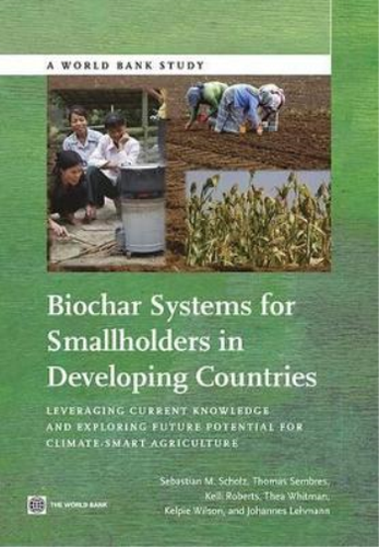 Sebastian Scholz Thomas Sembres Kelli Rober Biochar Systems for Smallhol (Poche) 9780821395257 ...