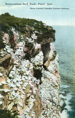 Unposted 1939 Postcard Bonaventure Bird Rock, Perce, Quebec, Canada | eBay