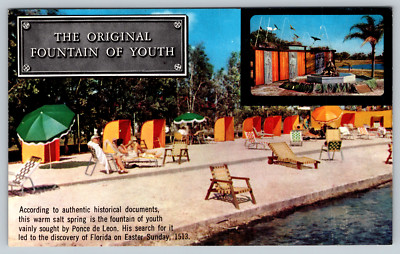 Mineral Springs Fountain of Youth Florida Venice Salt Vintage Postcard ...
