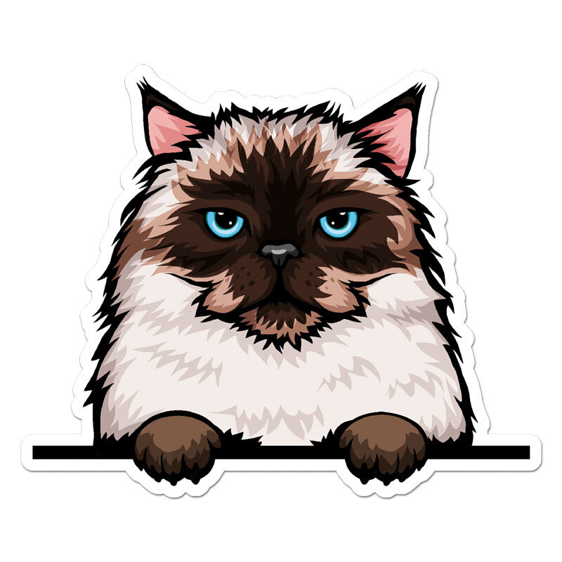 Peeking Himalayan Cat, Vinyl Decal Sticker, Indoor Outdoor, 3 Sizes ...