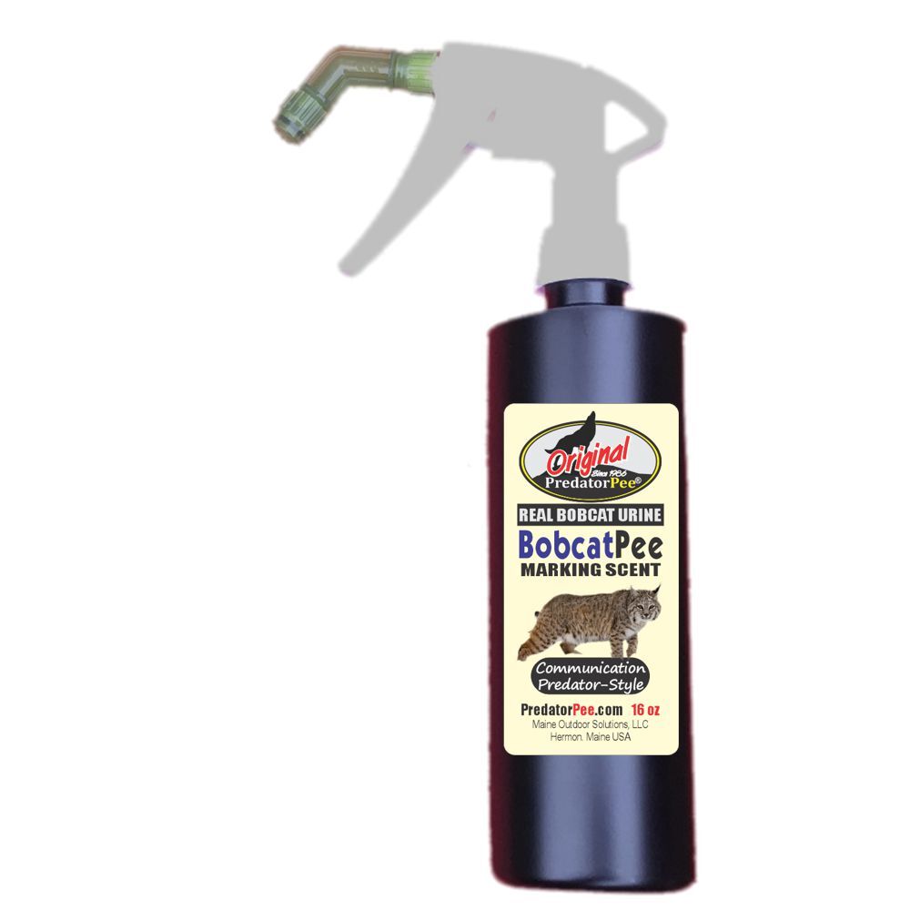 Predator Pee Bobcat Urine Marking Scent - 16oz | eBay