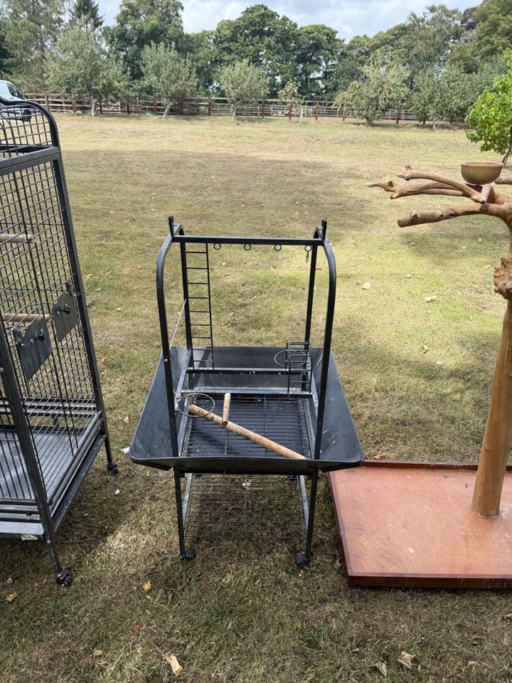 parrot cage x2 parrot gym and Java wooden stand | eBay UK