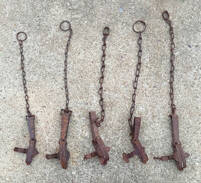 Lot 5 Rusty Small Animal Leg Traps Texas Barn Find Rustic Decor | eBay