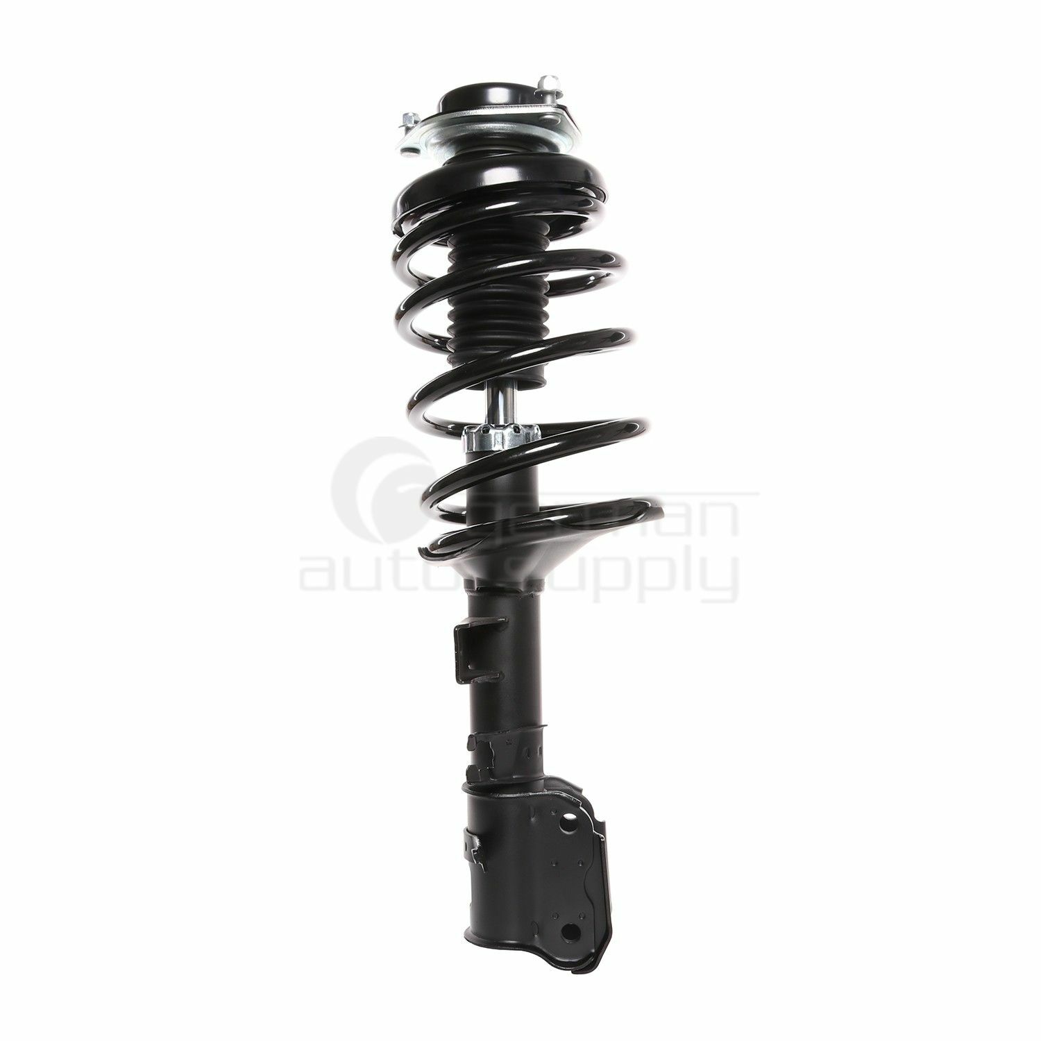 PRT 818122 Shocks and Struts - Suspension Strut and Coil Spring ...