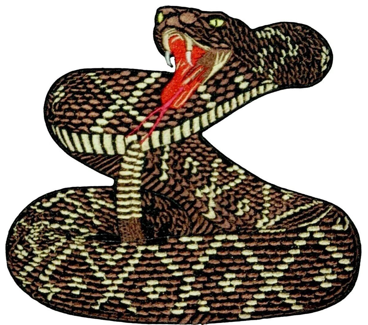 Rattlesnake Striking Drawing