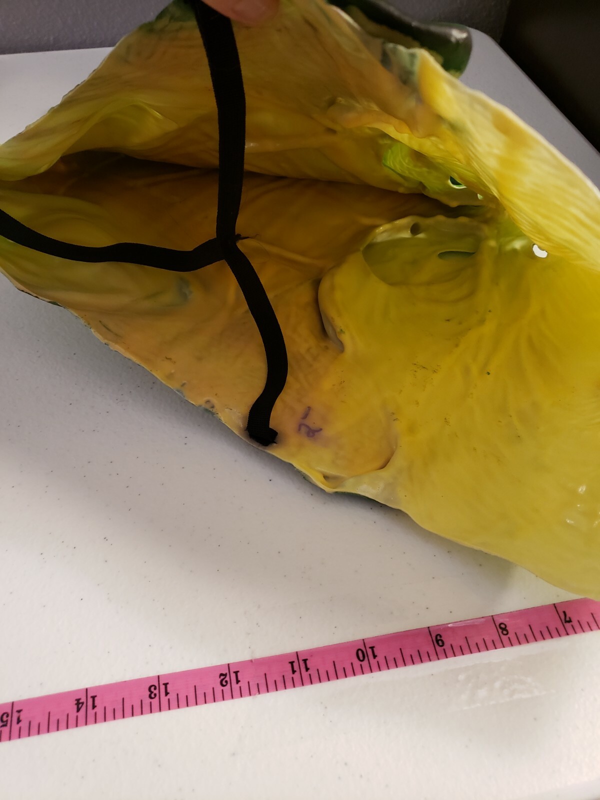 Vintage Lucas Films Star Wars Boss Nass Gungan Halloween Mask | eBay