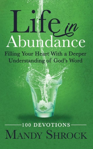 Life in Abundance by Shrock, Mandy [Hardback] NEUF | eBay