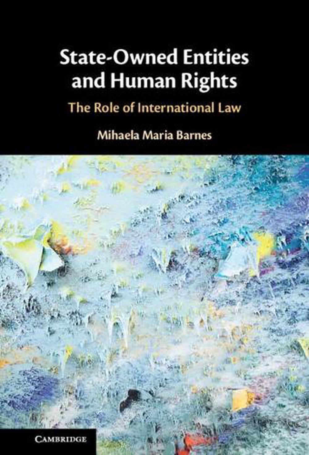 State-Owned Entities and Human Rights: The Role of International Law by ...