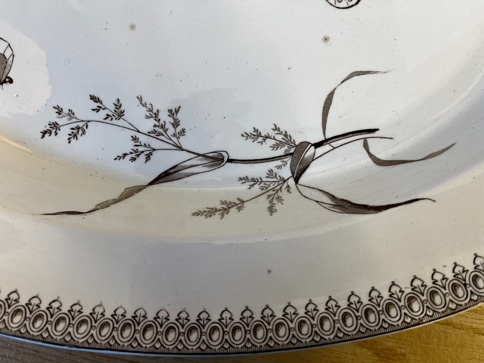 T&R BOOTE England 19" BUTTERFLY Platter ROYAL PREMIUM Summer Time VTG ...
