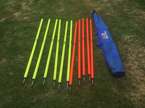Diamond Junior Mini Pole Set of 11 Football Slalom Training Poles | eBay UK