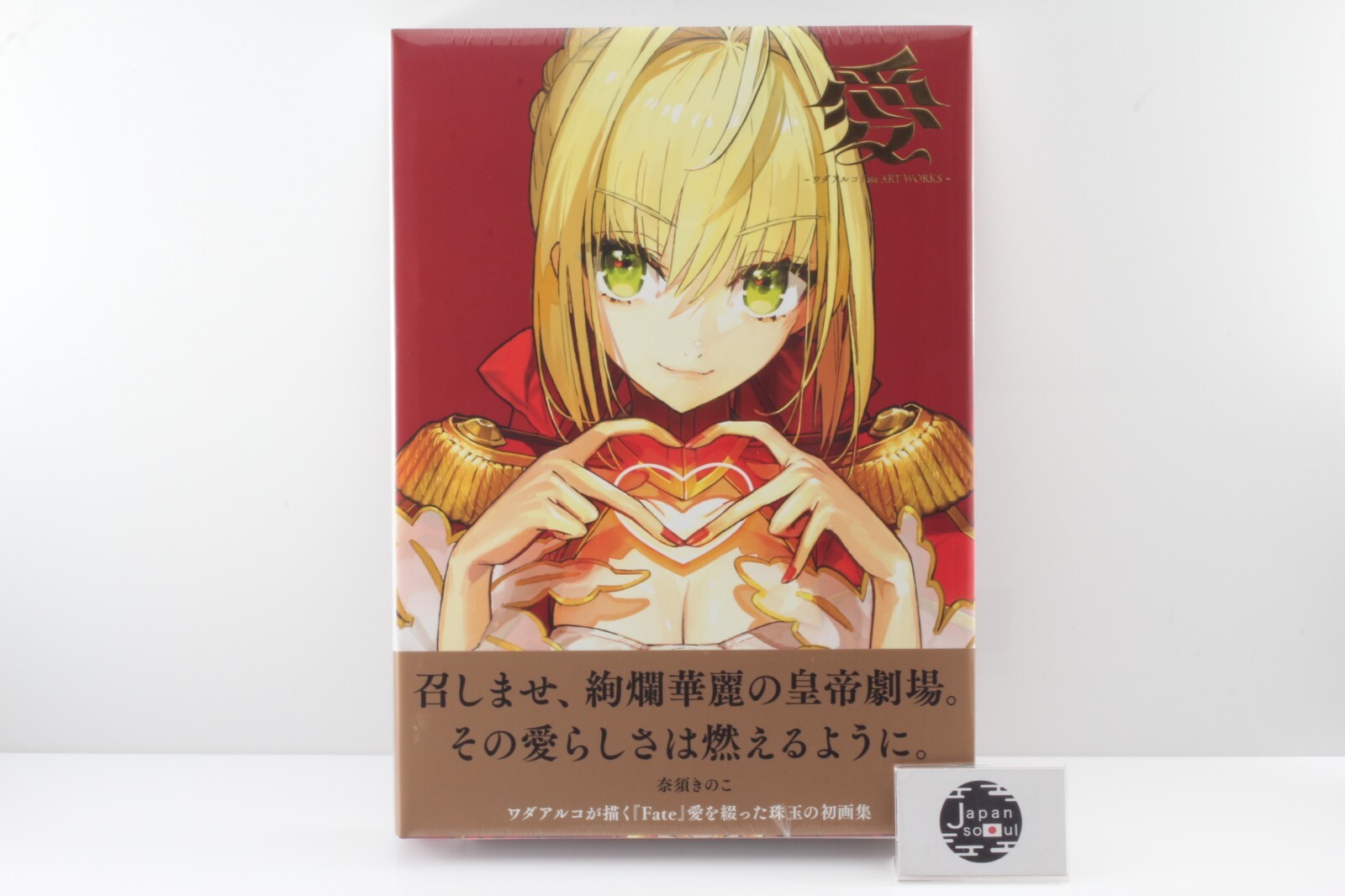 Ai Wada Arco Fate EXTRA Art Works Book Japanese From JAPAN | eBay