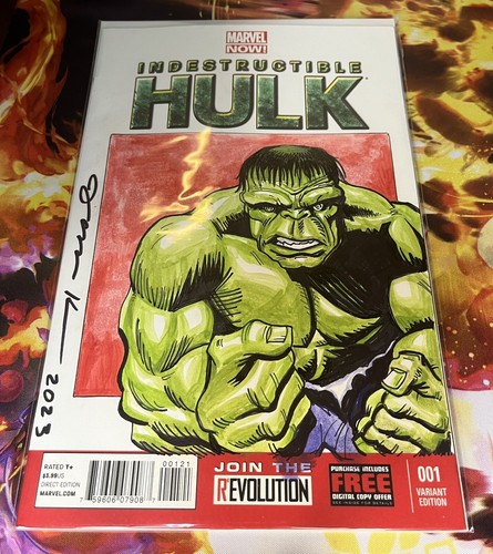 Indestructible Hulk #1 Jason Keith Original Art Sketch Cover | eBay