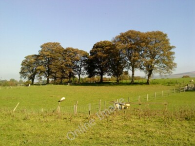 Photo 6x4 Fields near Salterforth Barnoldswick/SD8746 c2010 | eBay UK