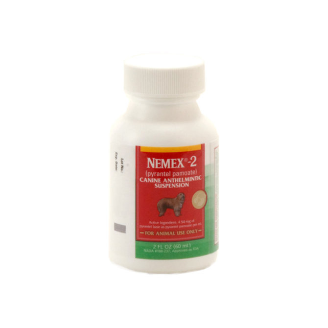 Nemex-2 Oral Pyrantel Dewormer for Round & Hookworms in Dogs & Puppies ...