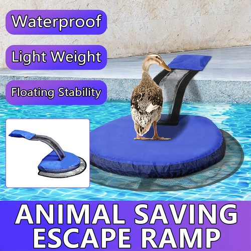 Animal Save Escape Ramp Saving Swimming Pool Rescue Tool Critter ...